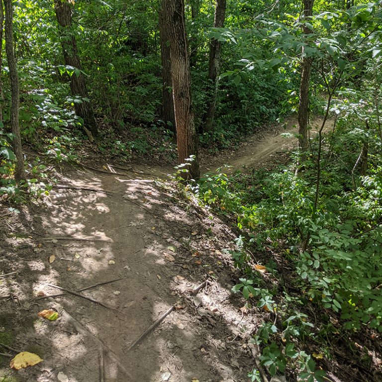 Banner Lakes at Summerset State Park | Iowa Parklands